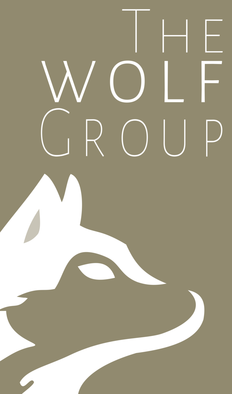 The Wolf Group - Institute of Glass and Ceramics